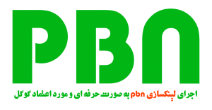 بک لینک PBN و PDN (لینک سازی با پی بی ان و پی دی ان قوی)